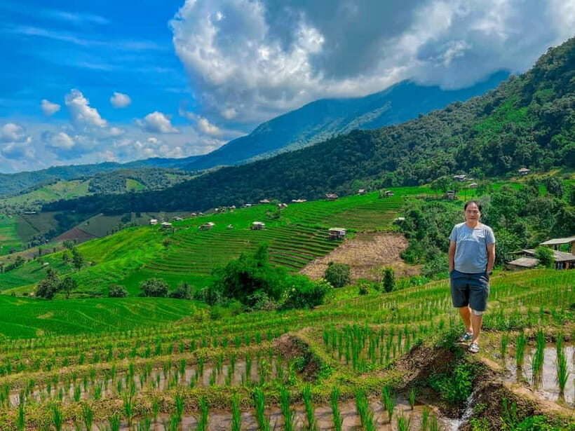 Chiangmai : Doi Inthanon unseen spot , Rice terrace & temple - Exploring the Full Experience