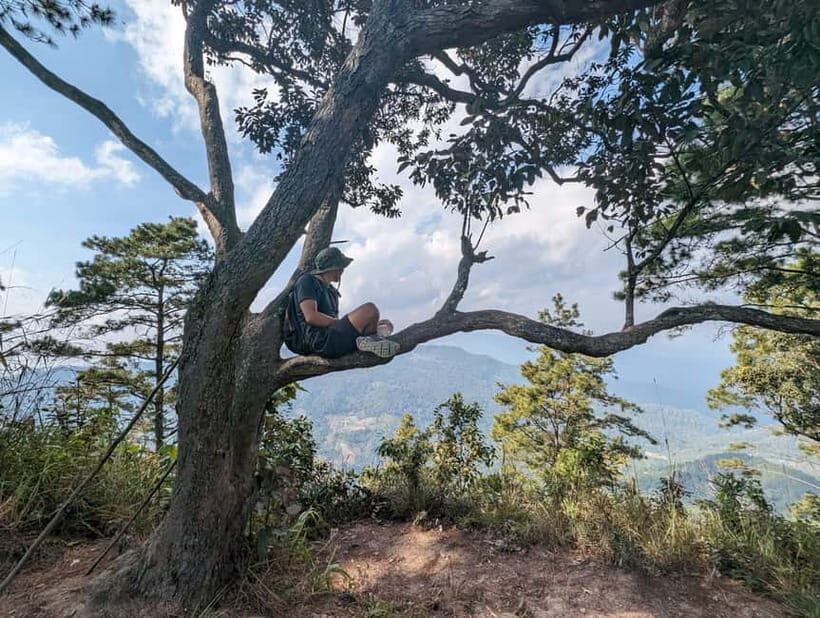 Chiangmai: Doi Pui Summit Hiking Experience - Who Will Love This Experience?
