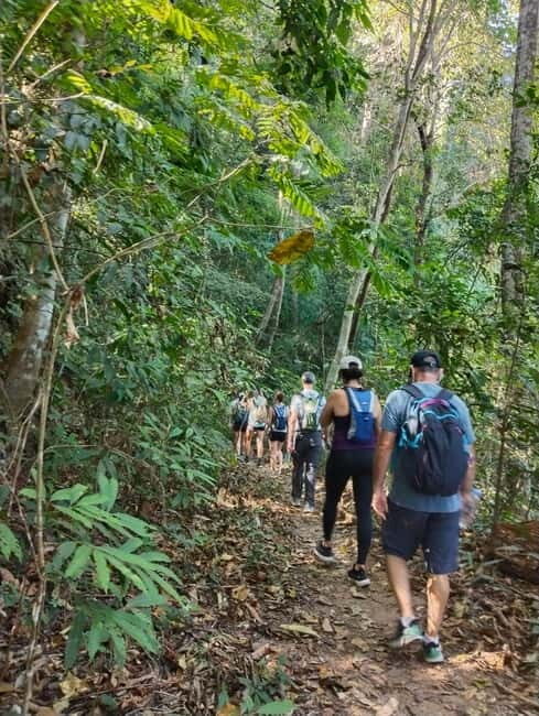 Chiangmai: Doi Pui Summit Hiking Experience - In The Sum Up