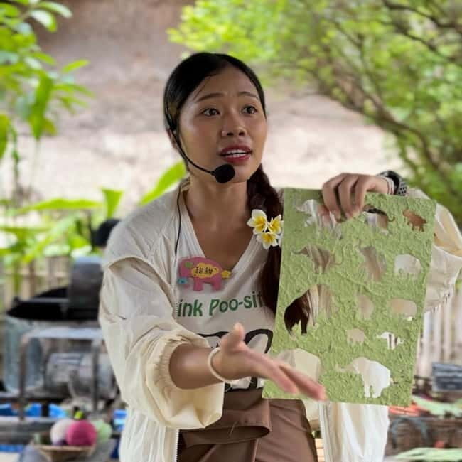 ChiangMai Elephant POOPOOPAPER Park Optional StickyWaterfall - Final Thoughts