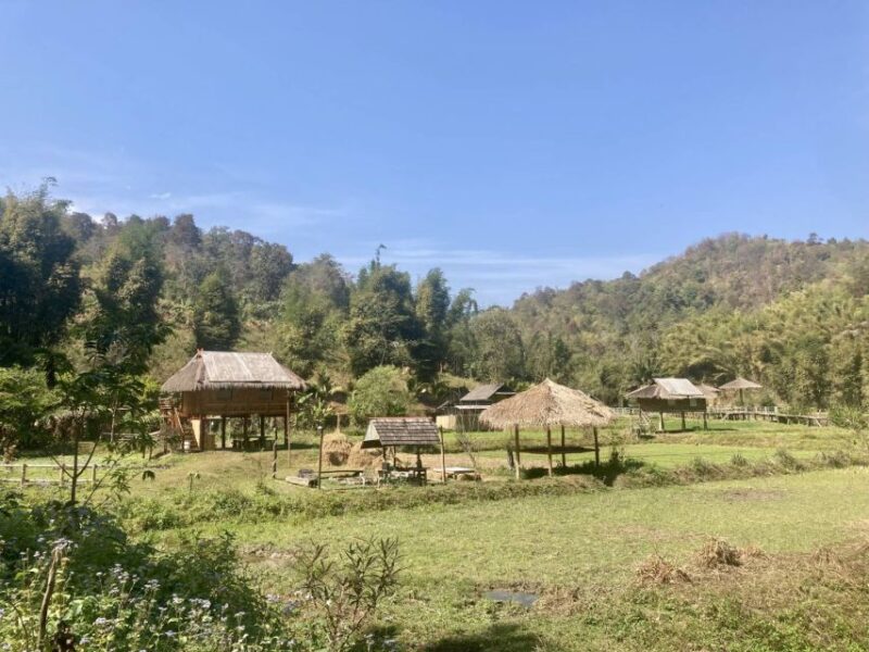 Chiangmai: Highlights Full-Day Tour with Private Driver - Doi Inthanon: The Highest Peak in Thailand