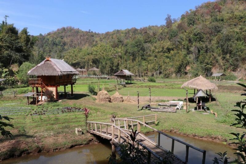 Chiangmai: Highlights Full-Day Tour with Private Driver - What To Expect from the Tour