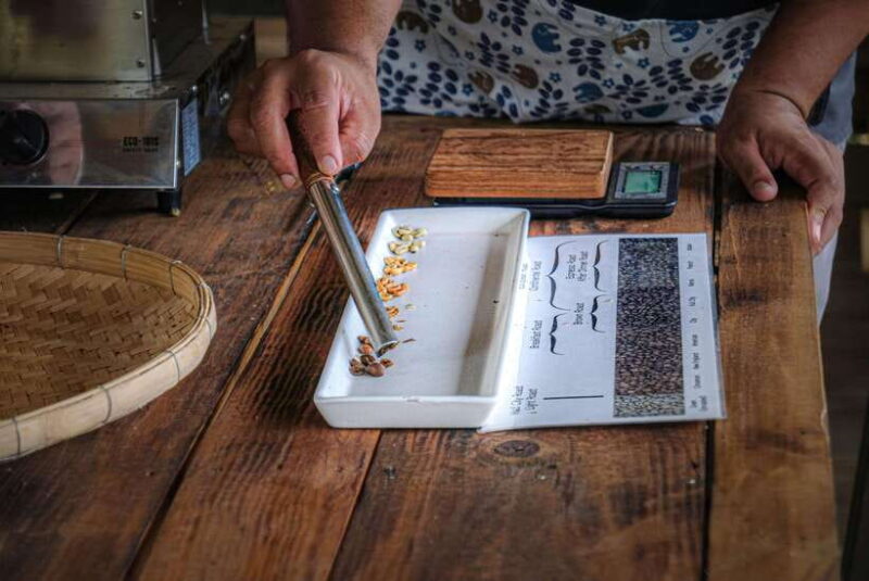 Chiangmai hilltribe Coffee Forest : Trek Plant Roast & Brew - Key Points