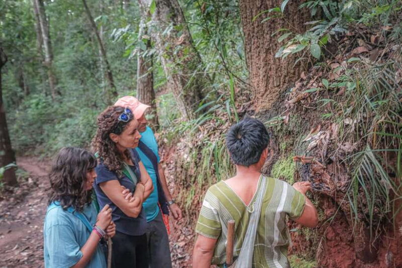 Chiangmai hilltribe Coffee Forest : Trek Plant Roast & Brew - The Experience Breakdown