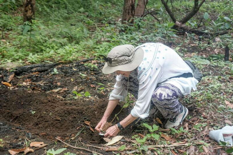 Chiangmai hilltribe Coffee Forest : Trek Plant Roast & Brew - Who Should Consider This Tour?