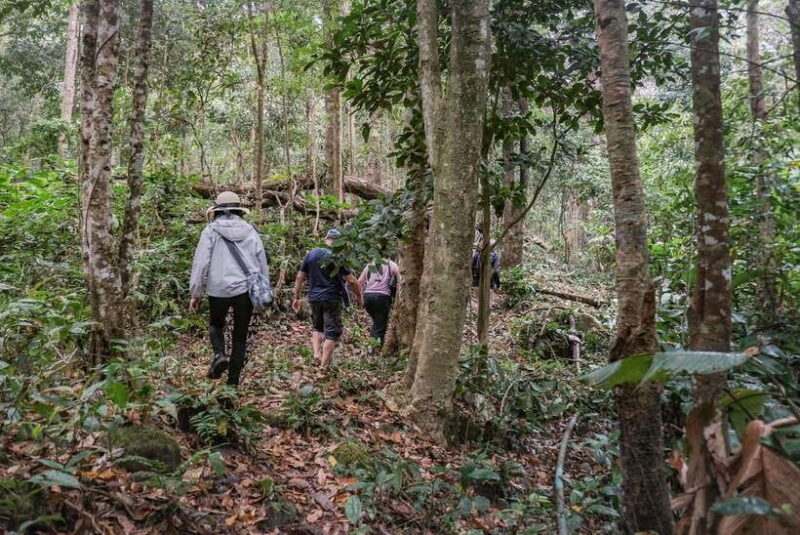 Chiangmai hilltribe Coffee Forest : Trek Plant Roast & Brew - Final Thoughts