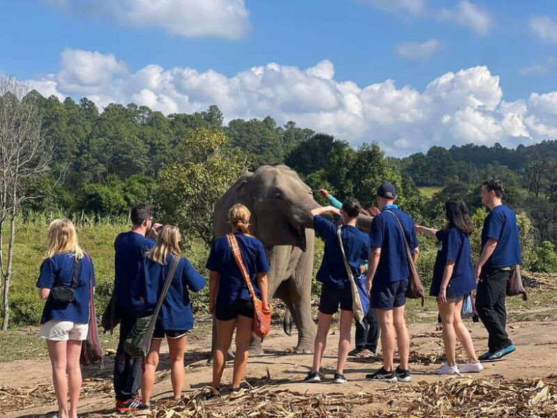 Chiangmai Overnight Trip with Ethical Elephant Santuary - Key Points