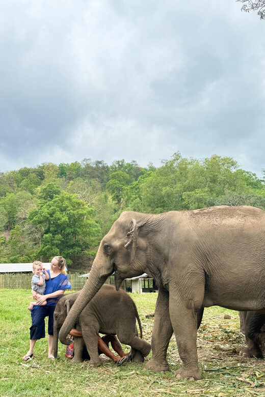 Chiangmai : Take care elephants+poopaper, sticky waterfalls - Key Points