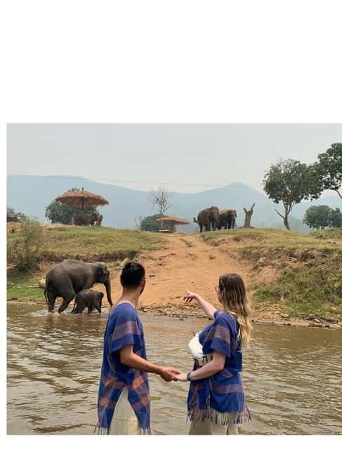 Chiangmai : Take care elephants+poopaper, sticky waterfalls - Exploring the Itinerary: What to Expect