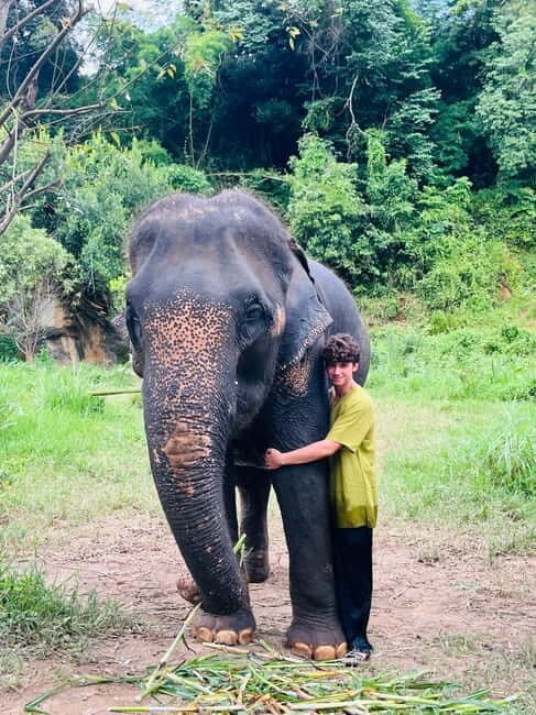 Chiangmai : Take care elephants+poopaper, sticky waterfalls - Final Thoughts