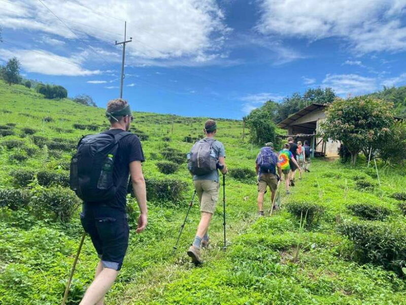 Chiangrai: Group Trekking with Bamboo Cooking - Is this Tour Worth the Price?
