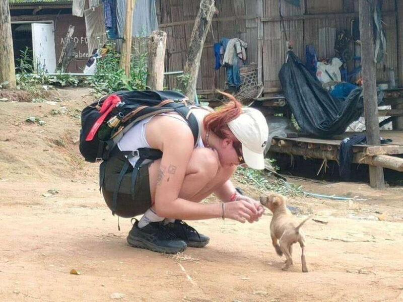 Chiangrai: Group Trekking with Bamboo Cooking - FAQs