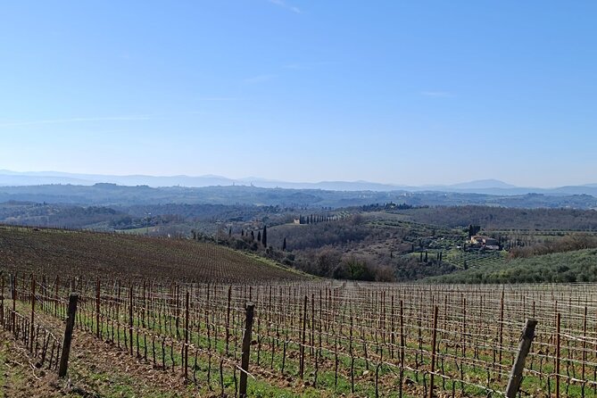 Chianti Adventure E-bike tour rental - The Sum Up