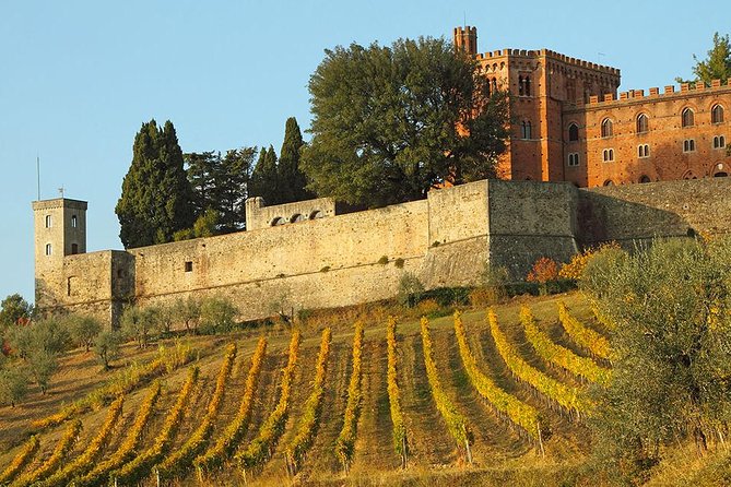Chianti and Castle Small Group Tour from San Gimignano - The Itinerary: What to Expect