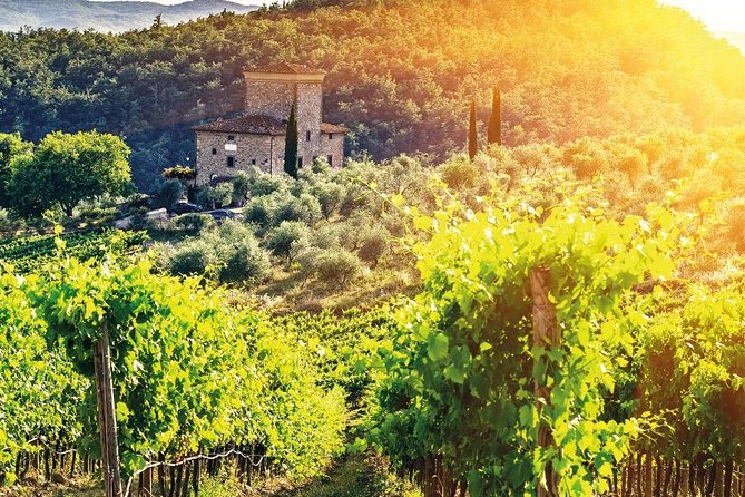 Chianti and Castle Small Group Tour from San Gimignano - What Travelers Say: The Honest Truth