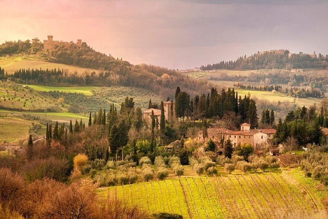 Chianti and Castle Small Group Tour from San Gimignano - FAQ