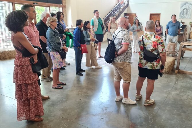 Chianti and Castles Tour from San Gimignano Small Group - Who Will Love This Tour?