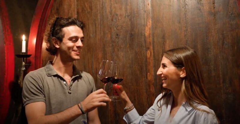 Chianti and Castles Tour From San Gimignano - What Makes This Tour Stand Out