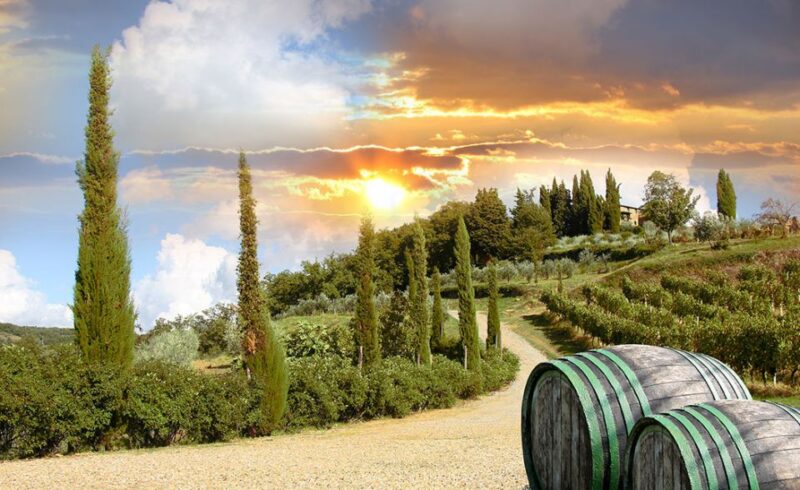Chianti and Castles Tour From San Gimignano - FAQ