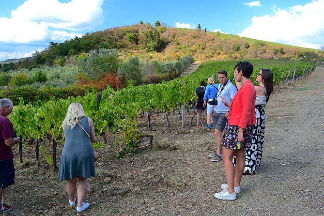 Chianti Classico and Super Tuscan 3 Winery Tour - Attendee Requirements