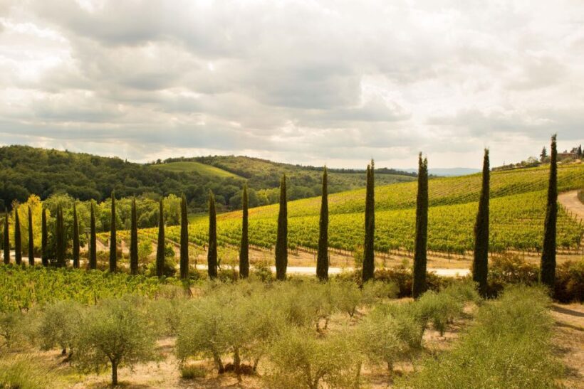 Chianti Classico and Super Tuscan Wine Tour - A Deep Dive into the Experience