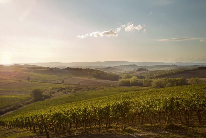Chianti Classico and Super Tuscan Wine Tour - Considerations and Who Will Love It