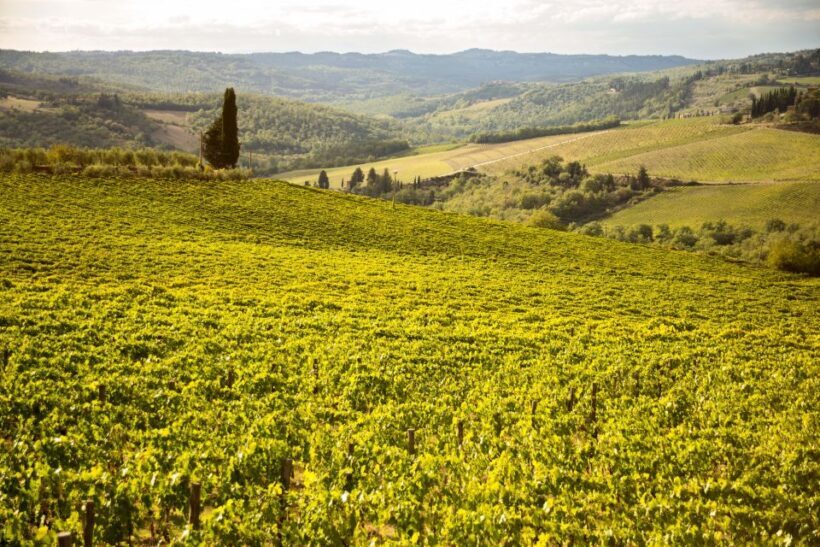 Chianti Classico and Super Tuscan Wine Tour - Frequently Asked Questions