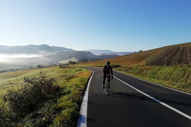 Chianti Classico Bike Tour from Siena - Overview of the Tour