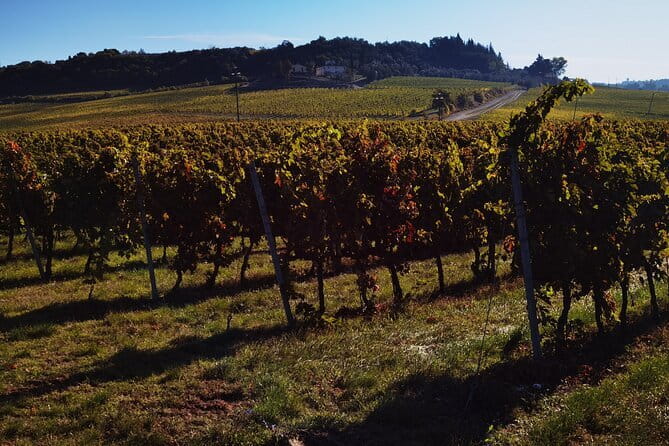 Chianti Classico E-bike Tour - Who Will Love This Tour?