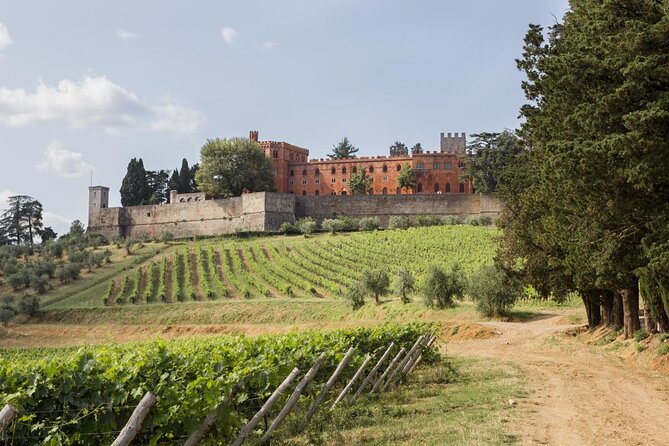Chianti Classico E-Bike Tour - About Your Stay