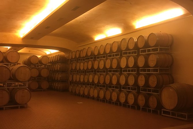 Chianti Classico E-Bike Tour - Savoring Local Delicacies: Lunch and Snacks Included