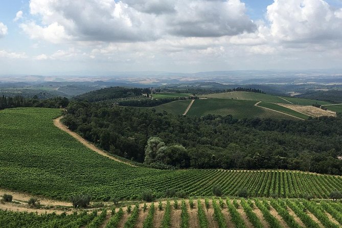 Chianti Classico E-Bike Tour - How to Book Your E-Bike Tour Experience