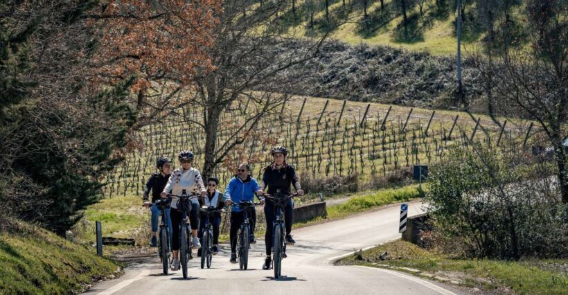 Chianti Classico: e-bike tour with lunch and tastings - Chianti Classico: e-bike tour with lunch and tastings — An Authentic Tuscan Experience
