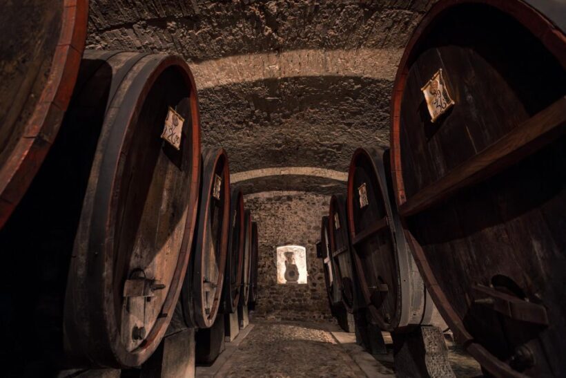 Chianti Classico: e-bike tour with lunch and tastings - Analyzing the Value