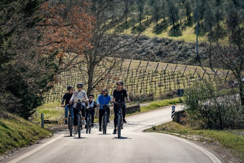 Chianti Classico: e-bike tour with lunch and tastings - The Sum Up