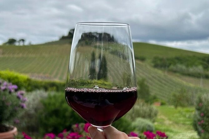 Chianti Classico wine Tour and Tasting - What Travelers Say
