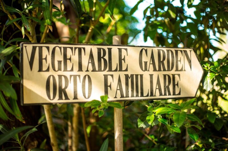 Chianti Classico Wines With Seasonal Farmers Dishes - Warm Atmosphere and Scenic Setting