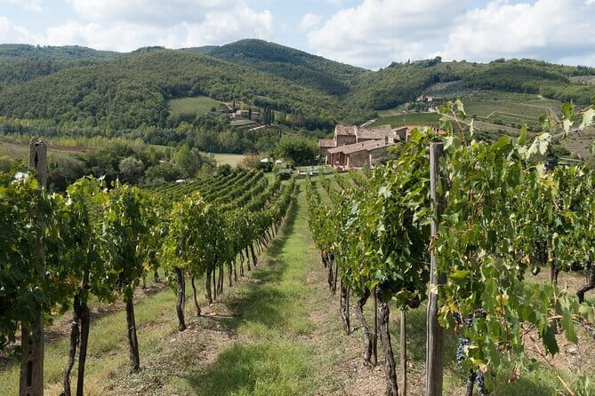 Chianti Day trip from Florence - What’s Included & What’s Not