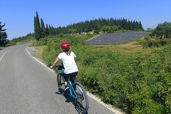Chianti e-bike tour from Florence with wine tasting - FAQs
