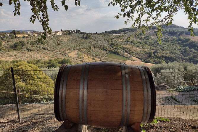 Chianti: eno-excursion through the vineyards - A Walk Through Chiantis Timeless Landscapes