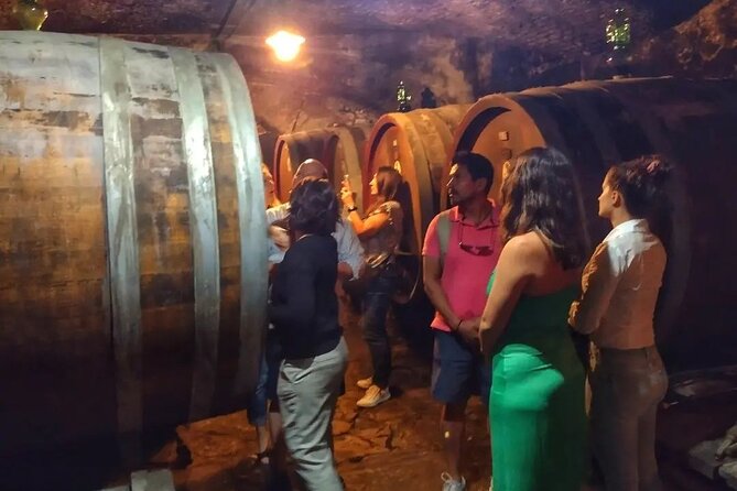 Chianti: eno-excursion through the vineyards - Practical Details and What to Expect