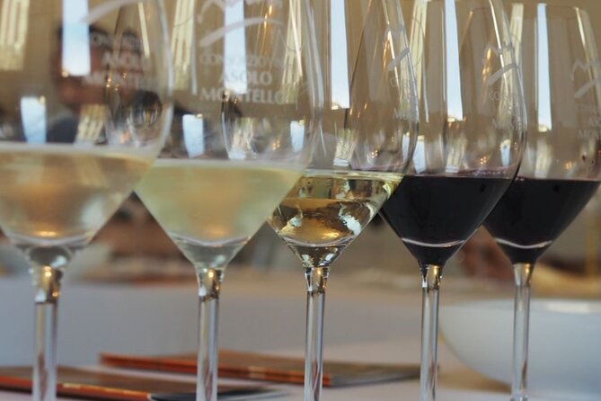 Chianti from Florence:PRIVATE Wine, Olive Oil Tasting in the Tuscan countryside - What Makes This Tour Stand Out