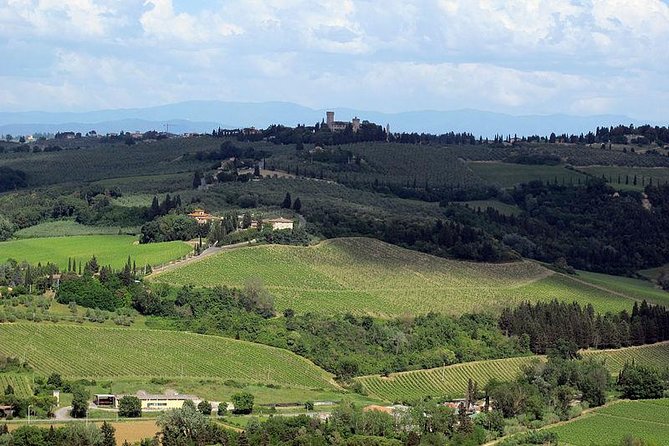 Chianti from Florence:PRIVATE Wine, Olive Oil Tasting in the Tuscan countryside - Authenticity and Feedback from Past Travelers