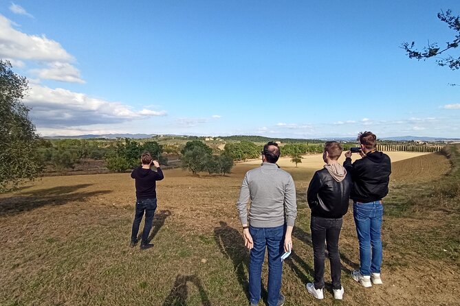 Chianti from Florence:PRIVATE Wine, Olive Oil Tasting in the Tuscan countryside - The Sum Up