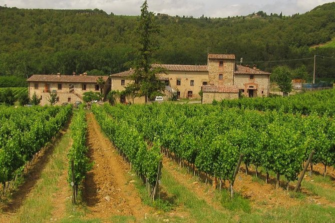 Chianti from Florence:PRIVATE Wine, Olive Oil Tasting in the Tuscan countryside - FAQ