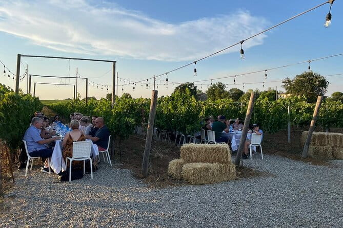 Chianti Half Day Wine Tour from Florence - What to Expect on the Tour