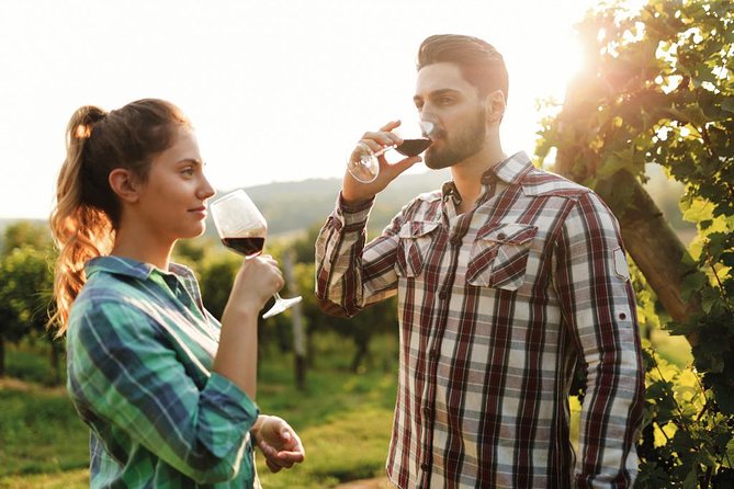 Chianti Half Day Wine Tour From Florence - Meeting and Itinerary Details