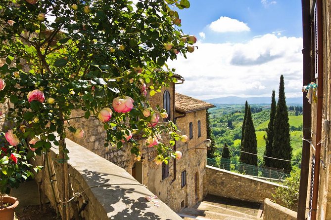 Chianti Half Day Wine Tour From Florence - Pricing and Booking Information