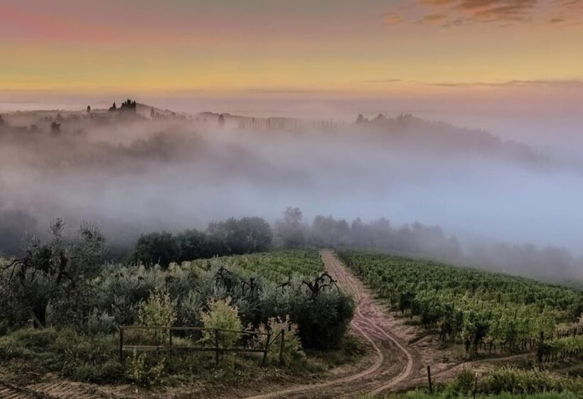 Chianti Half-Day Wine Tour included meal & tasting (5hrs) - FAQ