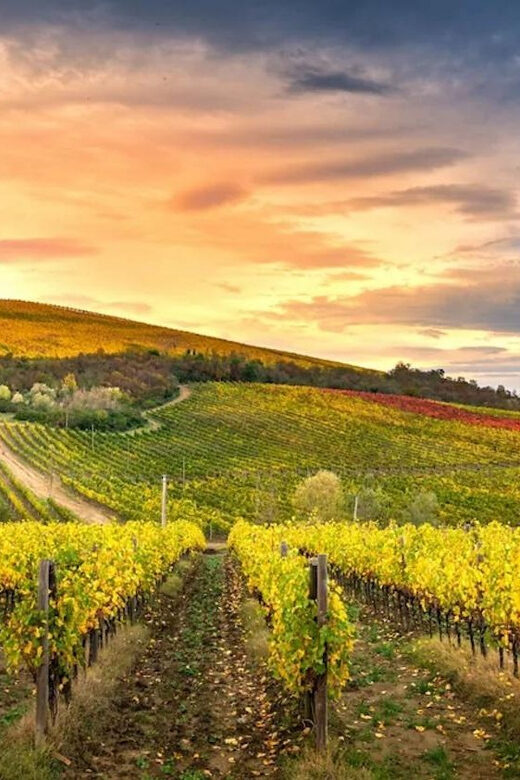 Chianti Helicopter Flight Tour - Who Would Love This Tour?